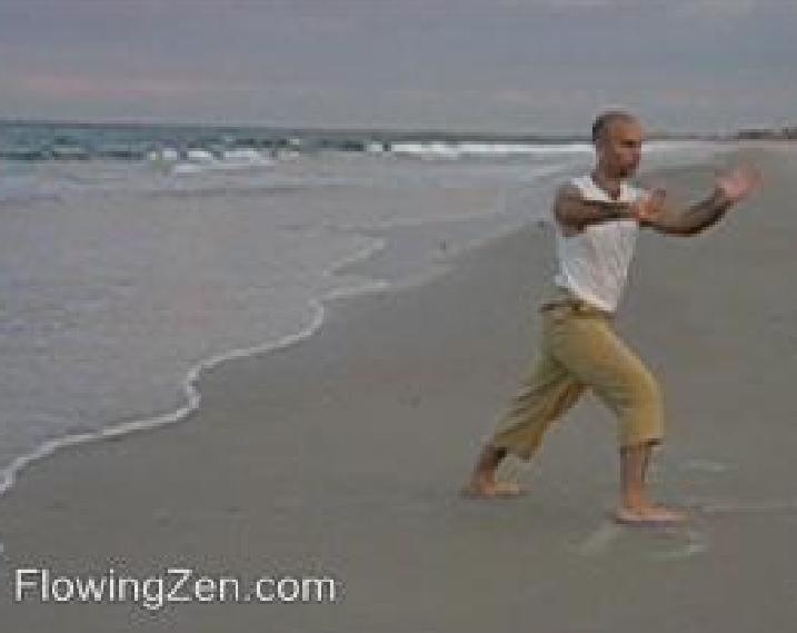 Shaolin Kungfu Sets in Still Pictures — Shaolin Traveling Dragon Pakua ...