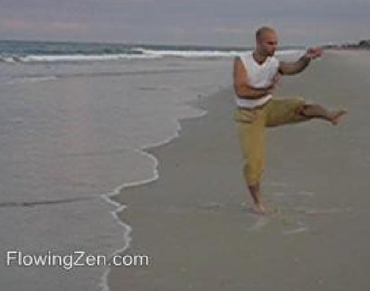 Shaolin Kungfu Sets in Still Pictures — Shaolin Traveling Dragon Pakua ...