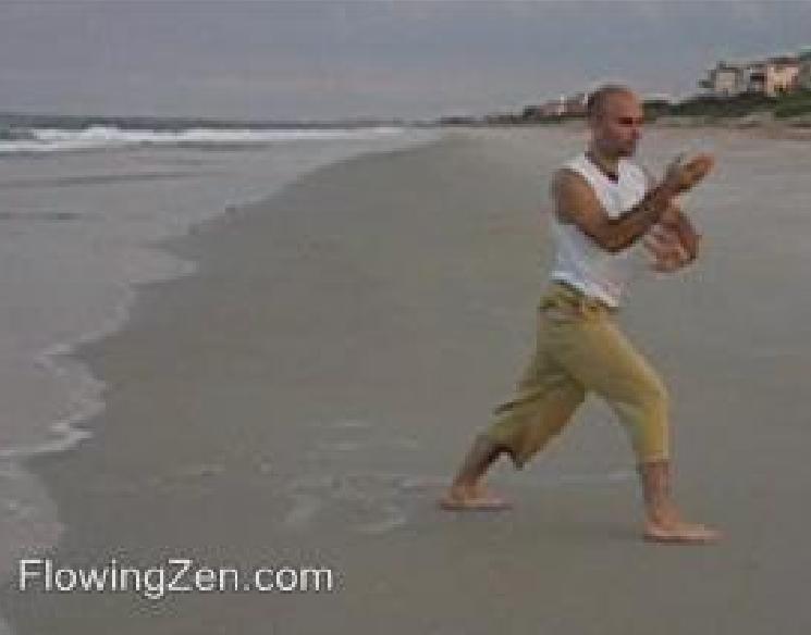 Shaolin Kungfu Sets in Still Pictures — Shaolin Traveling Dragon Pakua ...