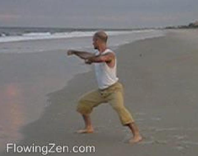 Shaolin Kungfu Sets in Still Pictures — Shaolin Traveling Dragon Pakua ...