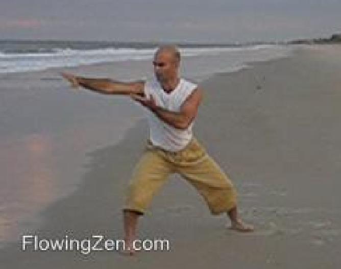 Shaolin Kungfu Sets in Still Pictures — Shaolin Traveling Dragon Pakua ...