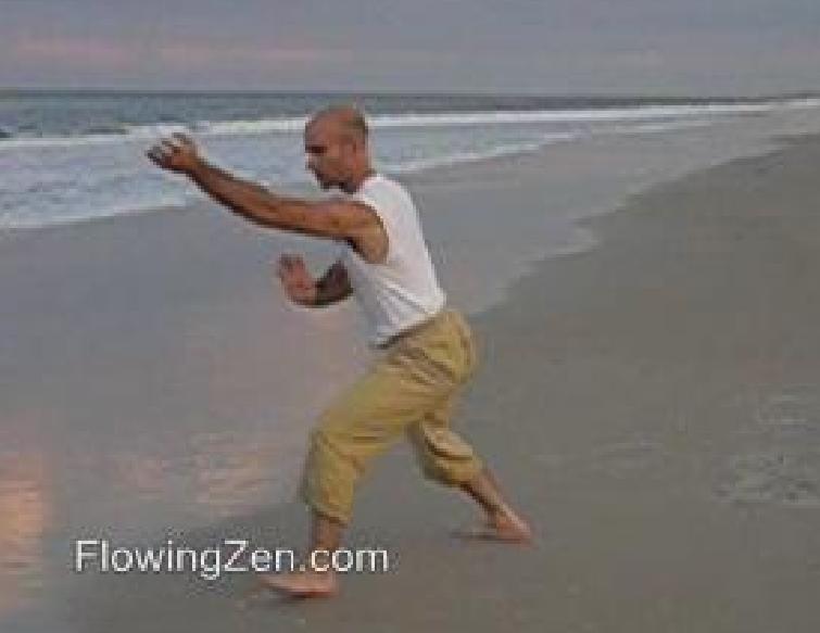 Shaolin Kungfu Sets in Still Pictures — Shaolin Traveling Dragon Pakua ...