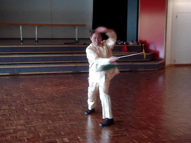 Kungfu Set in Still Picture — Taiji Sabre