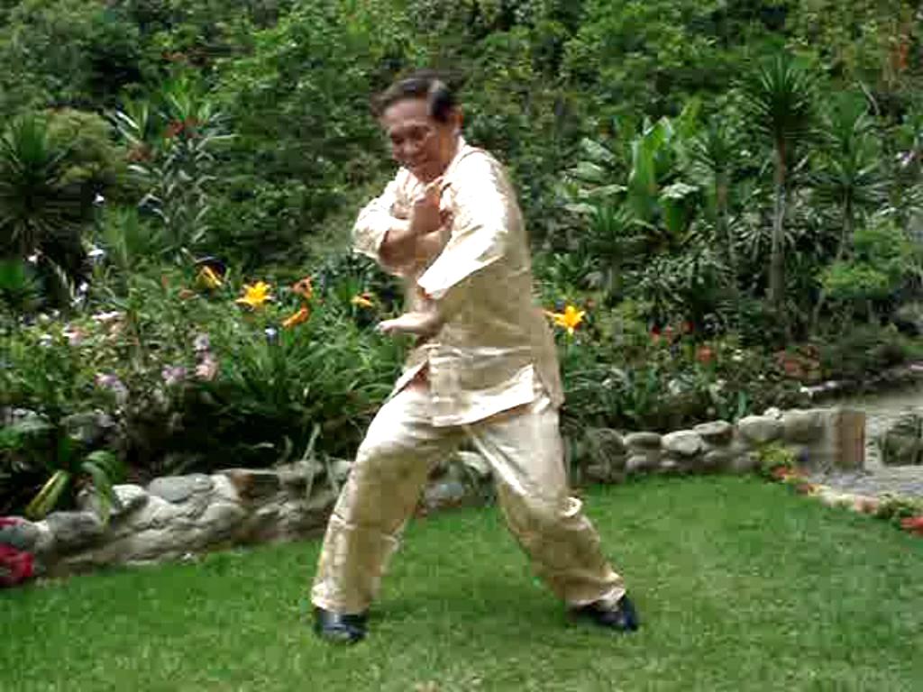 Video Clip Series: Siu Lin Tou (The first part of the whole set)