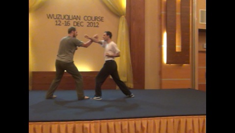 Wuzuquan Sparring Set in Picture Series