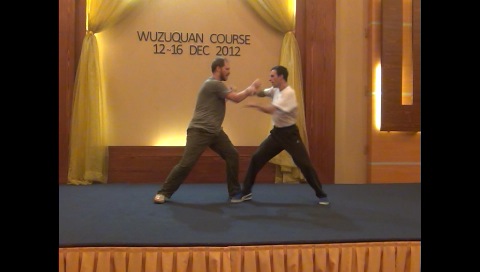 Wuzuquan Sparring Set in Picture Series