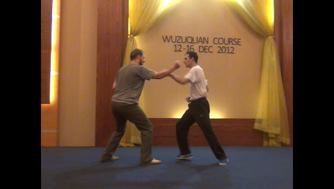 Wuzuquan Sparring Set in Picture Series