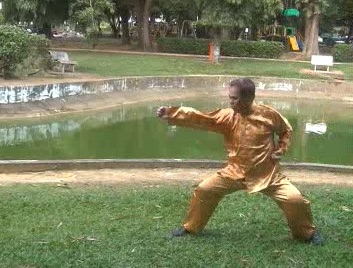 12-Animal Continuous Fist of Xingyiquan in Picture Series